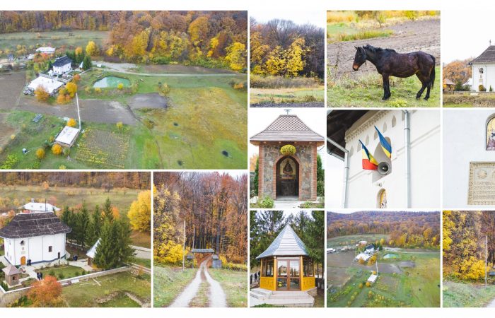 Primăria Comunei Deleni - județul Iași