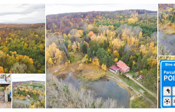 Primăria Comunei Deleni - județul Iași